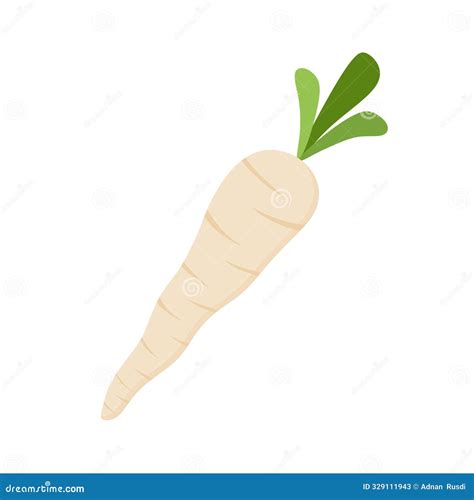 Parsnips Flat Design Vector Illustration Isolated On White Background Parsnip Root With Green