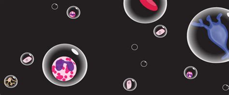 液滴微流控（六）：单细胞高通量液滴测序（drop Seq） 微纳立方科技 知乎