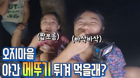 무농약 메뚜기떼 잡아서 바싹 튀겨 먹기ㅣ벼베기ㅣ벼타작ㅣ볏짚 놀이 Youtube