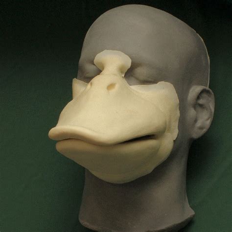 Small Duck Bill