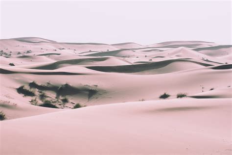 Download Sahara Desert Land Form Wallpaper