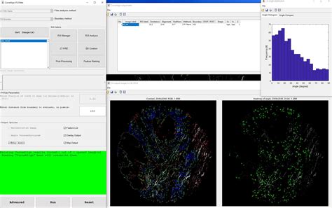 Curvealign Laboratory For Optical And Computational Instrumentation Uwmadison Curvealign Laboratory For Optical And Computational Instrumentation Uwmadison