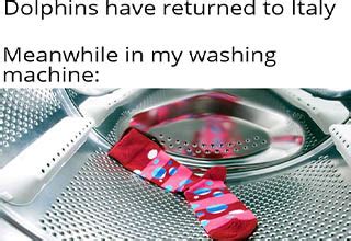 Forty Funny Memes To Feast Your Eyes On Funny Gallery EBaum S World