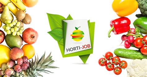 Horti Job Uit Boortmeerbeek Omvangrijke Groente En Fruithandel
