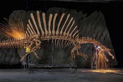 Worlds Biggest T Rex Discovered In Canada National Geographic