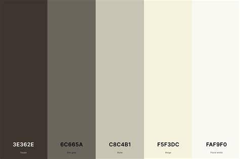 25 Best Beige Color Palettes With Names And Hex Codes Creativebooster