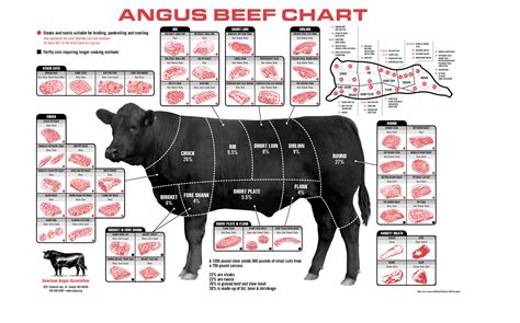 How Many Pounds Of Bones Are In A Cow All About Cow Photos