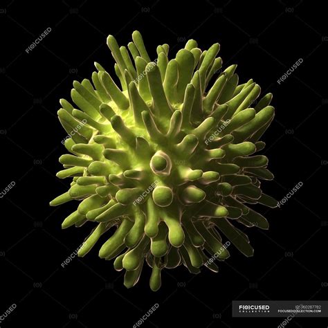 Visual Render Of Hepatitis C Replicator Capsid Stock Photo 160287782