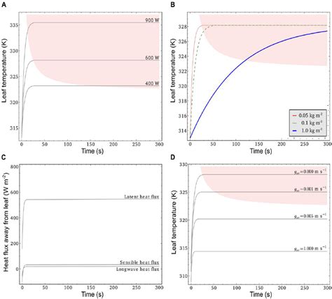 Leaf Temperature And Flux Dynamics In Response To Sudden Illumination Download Scientific