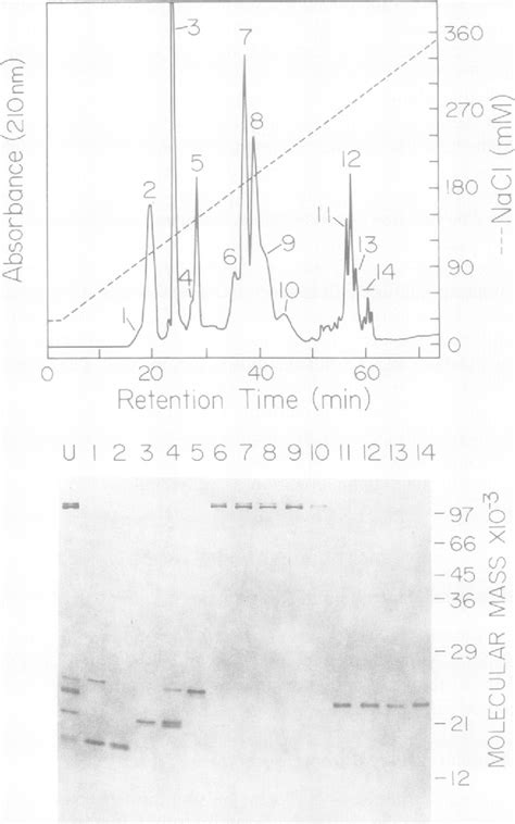 Figure 1 From High Performance Liquid Chromatography Resolution Of