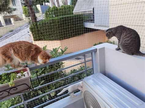 Δίχτυ για γάτες Το Σπίτι της Γάτας