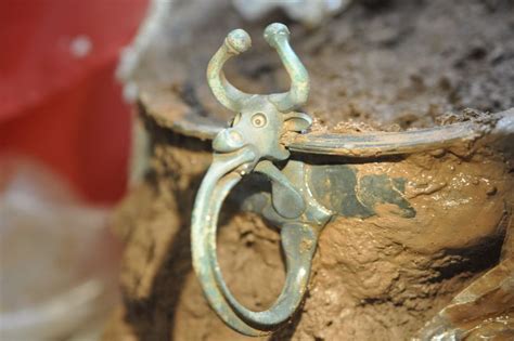 Iron Age And Ancient Roman Pottery Found By Metal Detectorist In Wales
