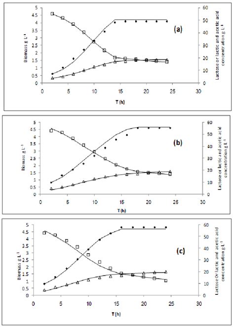 Mathematical Simulation Of Three Uncontrolled Batch Fermentation Of