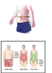Kingsley Lab Final Practical Flashcards Quizlet
