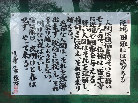 真光寺の掲示板住職法話 真言宗 智山派 真光寺
