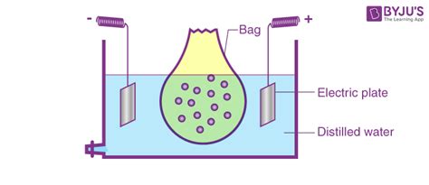 Colloid Science Top Notch Definition
