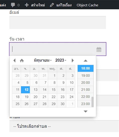 Contact Form 7 Datetime Picker Addon Boostpress