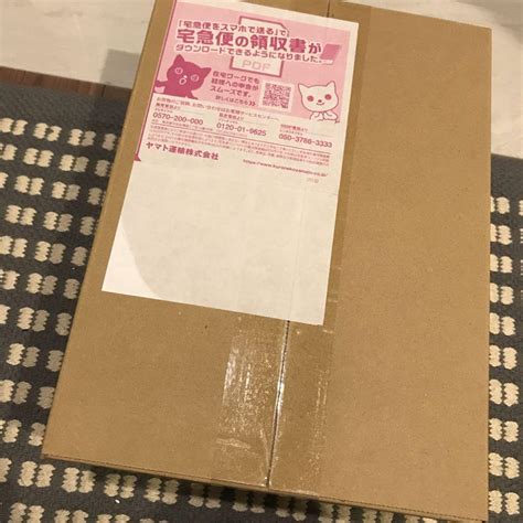 ポケモン ピカチュウ 記念デッキ カード