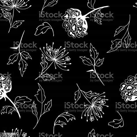 장식 야생 꽃과 흰색과 검은 잎의 원활한 패턴 검은 색 배경에 벡터 그림 0명에 대한 스톡 벡터 아트 및 기타 이미지 0명 가을 검은색 Istock