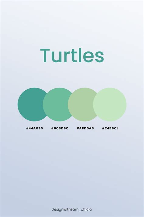 Turtle Color Palette For Art Projects