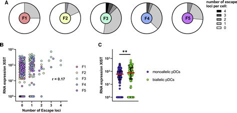 Heterogeneous Escape From X Chromosome Inactivation Results In Sex