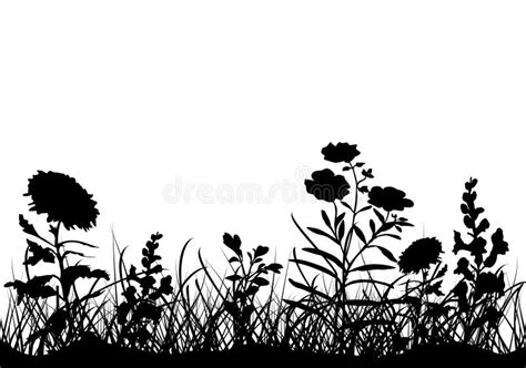 Grass Silhouette Stock Vector Illustration Of Stalk Sprout 6491533
