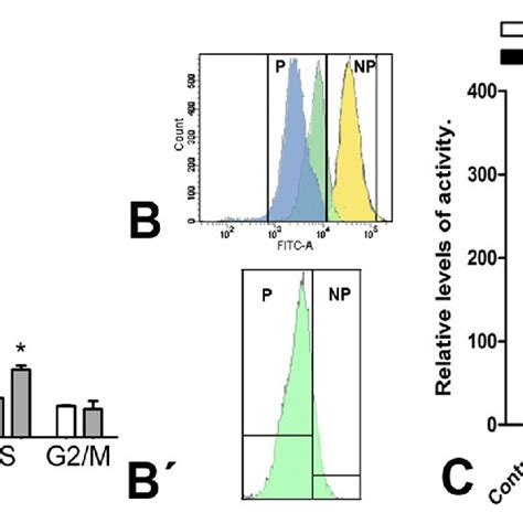 A Graphic Illustrations Comparing The Proportion Of Cells At