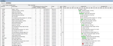 Developing A Cpm Baseline Schedule