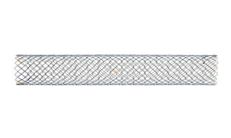 Gate Pyloric Duodenal Stent Apr Medtech