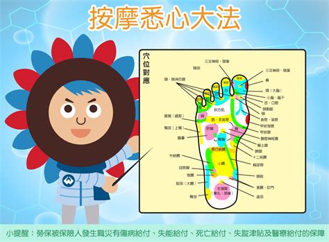 勞工保險局 長期辛苦工作也要適時的放鬆休息一下，今天小花葵要跟大家分享腳底按摩悉心大法： 1 高血壓及心臟病：揉按大拇指下的內關節出和心臟