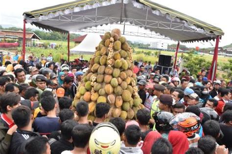 Pemkab Trenggalek Kenalkan Durian Varietas Unggulan Lewat Kontes Durian