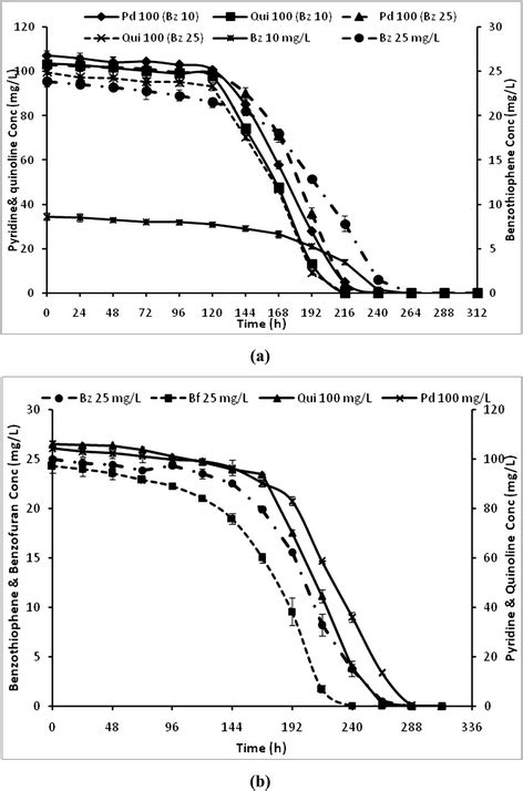 Substrate Concentration Profile During The Degradation Of A