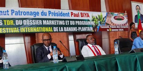 Filière banane plantain le Cameroun envisage de produire 6 millions de