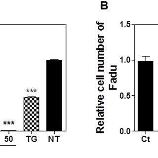 The Effects Of HIV PIs On HNSCC Cell Growth Human HNSCC Cell Lines