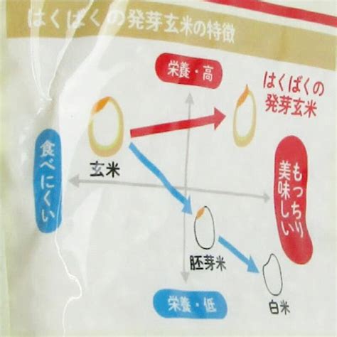 米 お米 こめ 玄米 発芽玄米はくばく もっちり美味しい発芽玄米 1kg × 2袋 Hkbk Hg1000 2sにっぽん津々浦々 通販