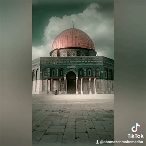 دعاء اللهم انصر أهلنا في غزه وفلسطين وفي كل مكان يا رب العالمين غزه