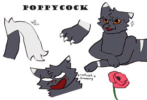 Poppycock By Honeyshadow1 On Deviantart