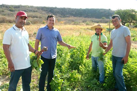 Prorural Completa 39 Anos Promovendo Crescimento Sustentável Do Pequeno