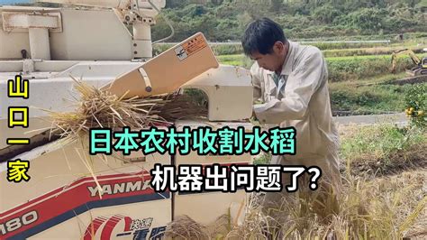 日本農村鄰居們都收完了，山口家才開始收割水稻，機器又罷工了？ Youtube