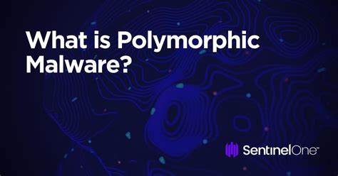 What Is Polymorphic Malware An Easy Guide