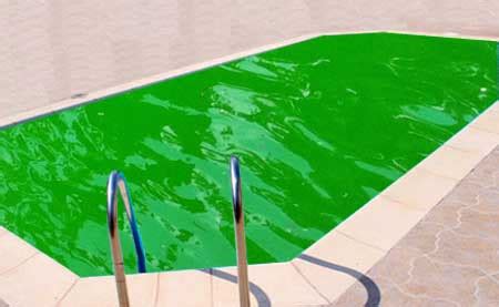 How To Remove Algae From Pool Water Hard And Soft Water
