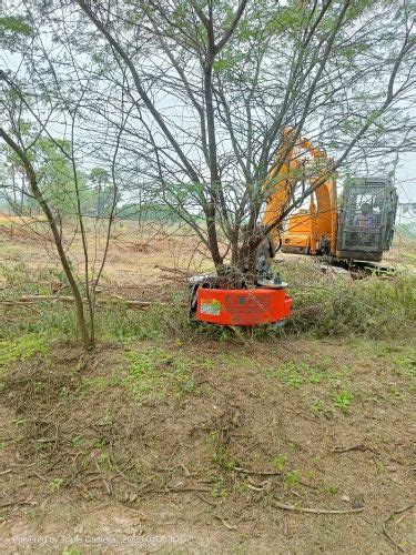 Excavator Tree Cutter At Rs 497000 Number In Erode ID 2849749675612