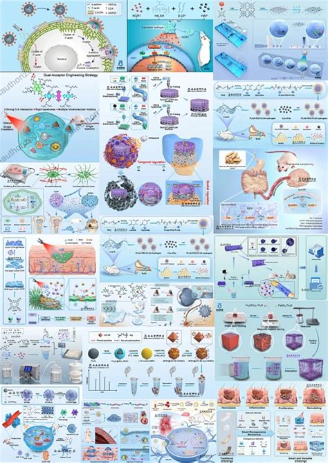 科研绘图 期刊封面配图 花瓣网