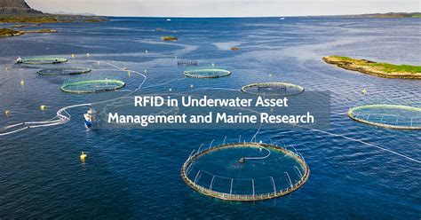 What Are Rfid Chips Types Specifications And Applications