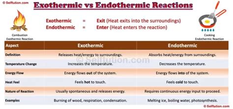 Exothermic And Endothermic Reactions Whats The Difference Selftution