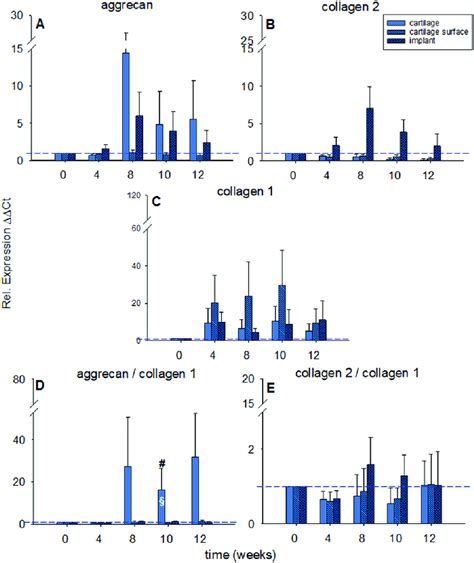 Real Time Polymerase Chain Reaction Analysis For Aggrecan Collagen 1 Download Scientific