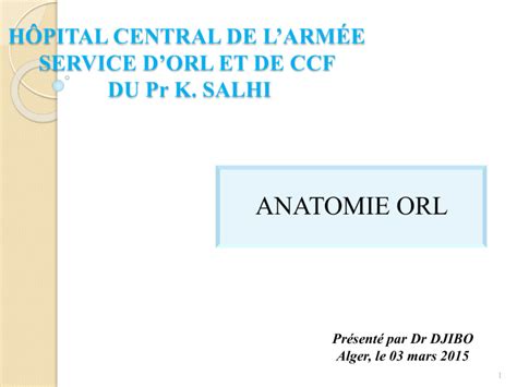 TD ANTOMIE ORL
