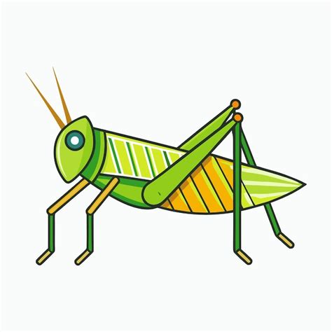 Grasshopper Graphic Design Images Free Download On Freepik