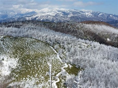 南沢山・横川山（最強寒波到来後の南信の雪山ハイク、霧氷ではなかったがホワイト＆ブルーを堪能） ノブハルさんの恵那山・大判山・神坂山の活動