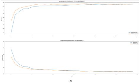 Comparative Analysis Of Conventional Cnn Vs Imagenet Pretrained Resnet In Medical Image